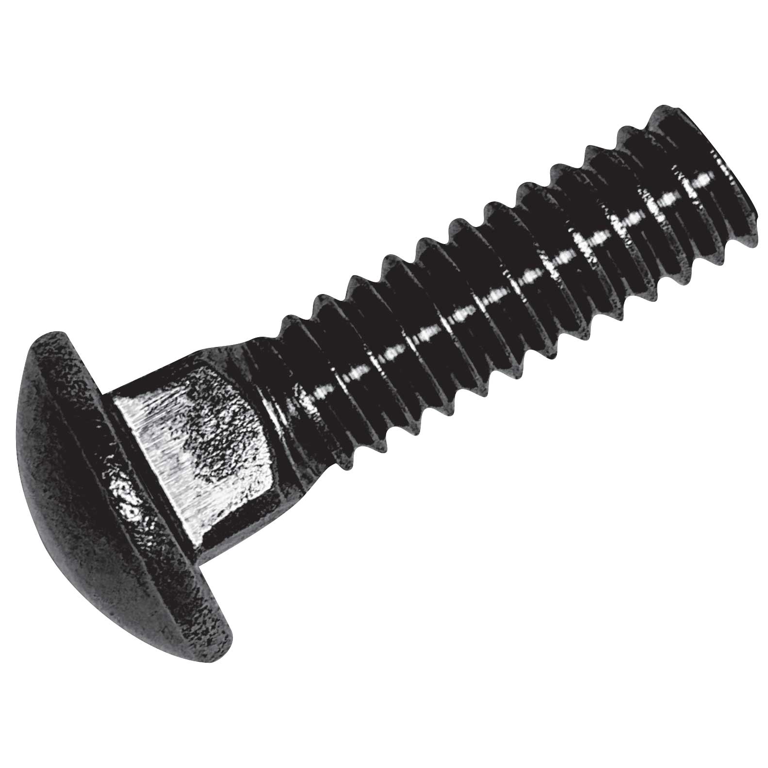 Category: Bolts - Star Stainless