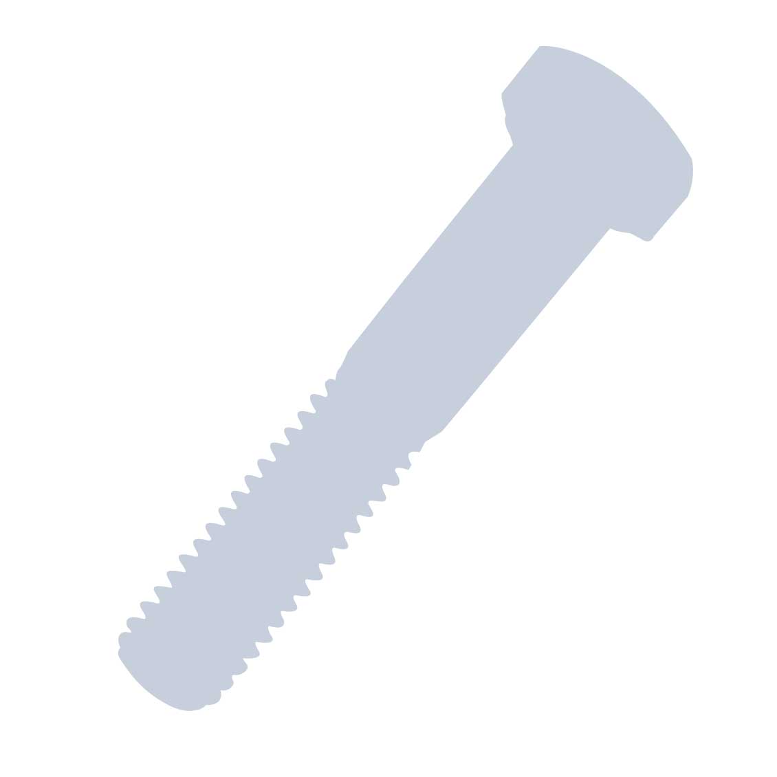 Category: Hex Head Cap Screws - Star Stainless